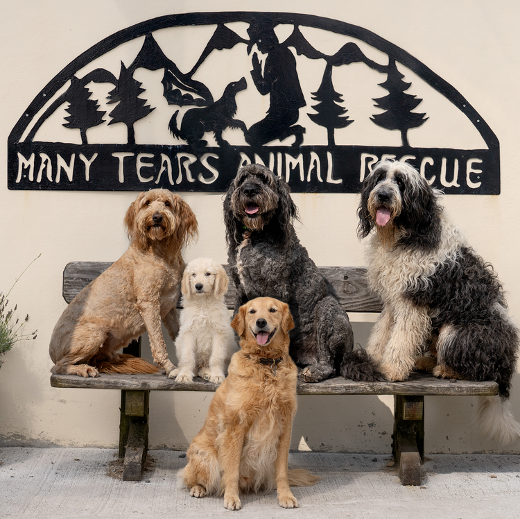 Many Tears Animal Rescue Official Store