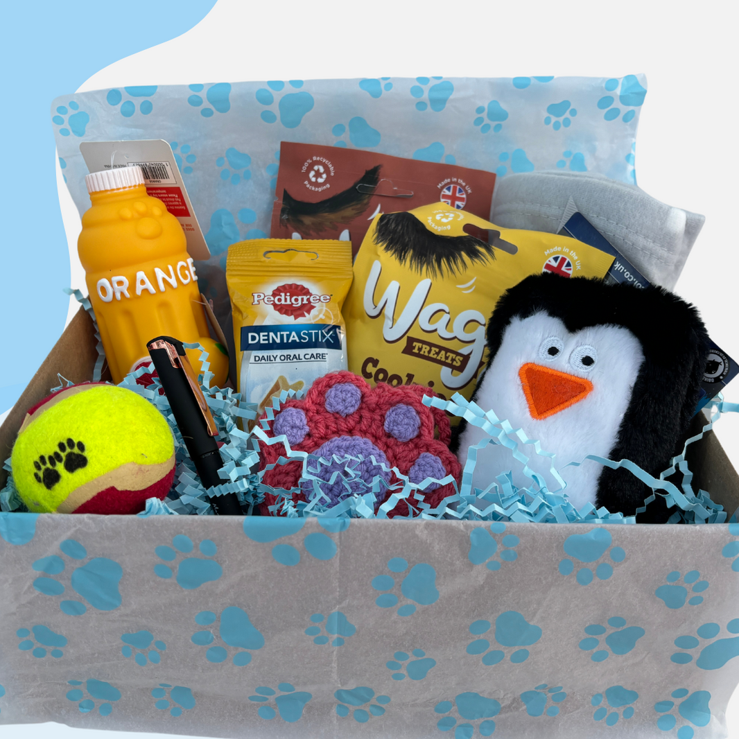 New Arrivals – Many Tears Animal Rescue